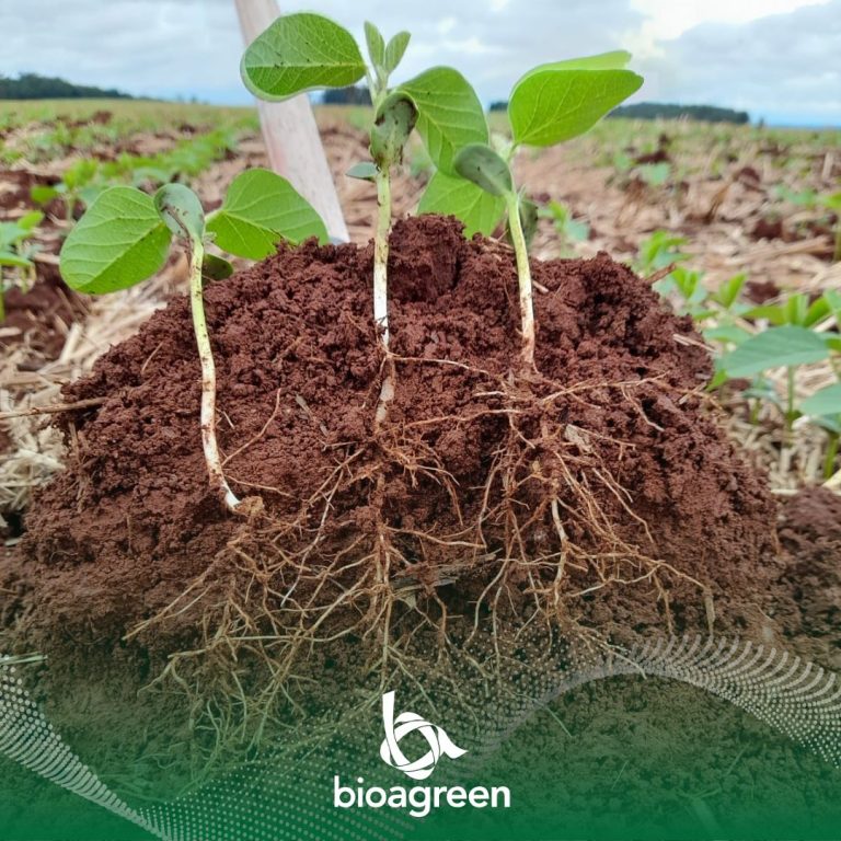 Home - Bioagreen